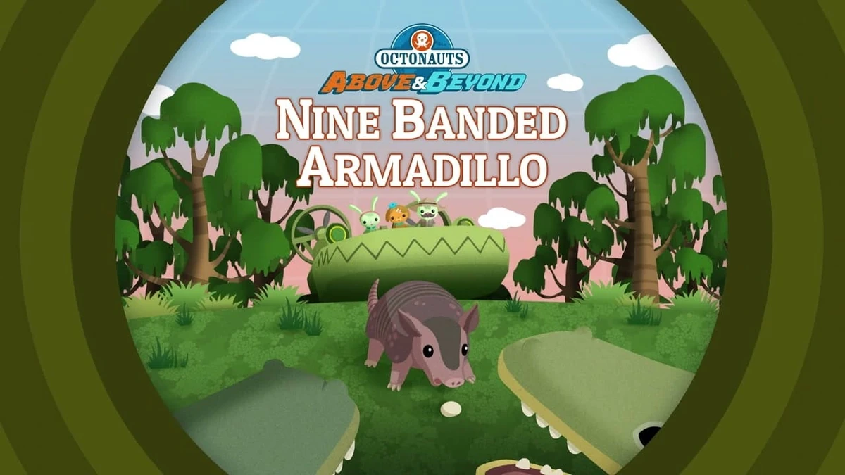 The Nine Banded Armadillo | Octonauts Wiki | Fandom