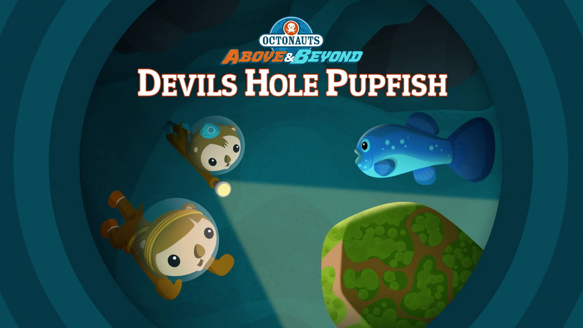 The Devil's Hole Pupfish | Octonauts Wiki | Fandom