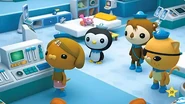 Dashi/gallery | Octonauts Wiki | Fandom