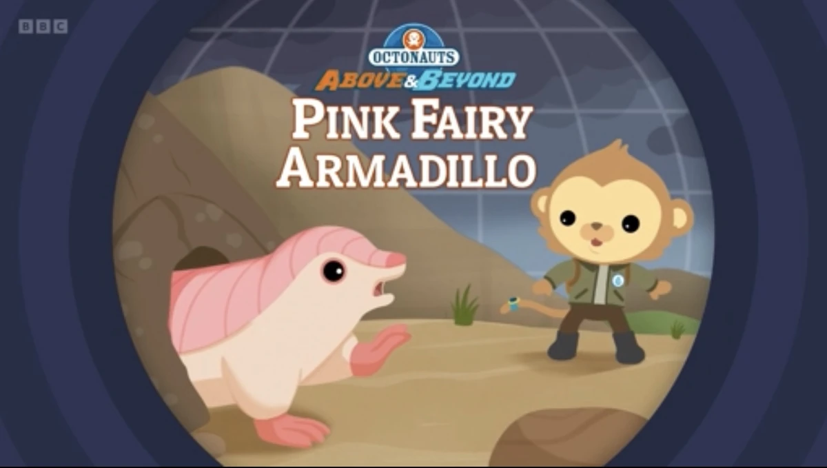 The Pink Fairy Armadillo | Octonauts Wiki | Fandom