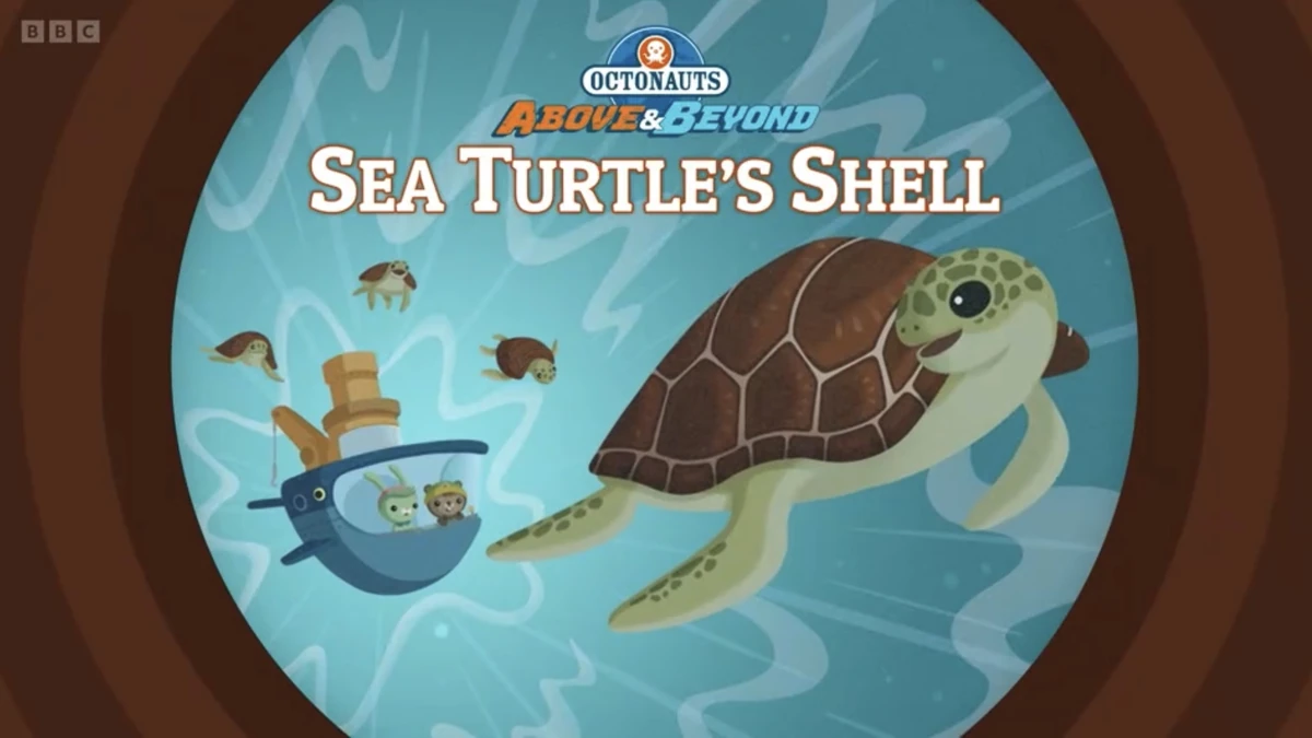 The Sea Turtle’s Shell | Octonauts Wiki | Fandom