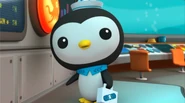 Peso/gallery | Octonauts Wiki | Fandom
