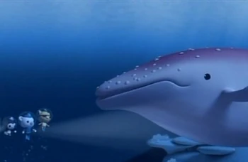 The Albino Humpback Whale | Octonauts Wiki | Fandom