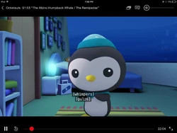 Peso Penguingallery Octonauts Wiki Fandom Powered By