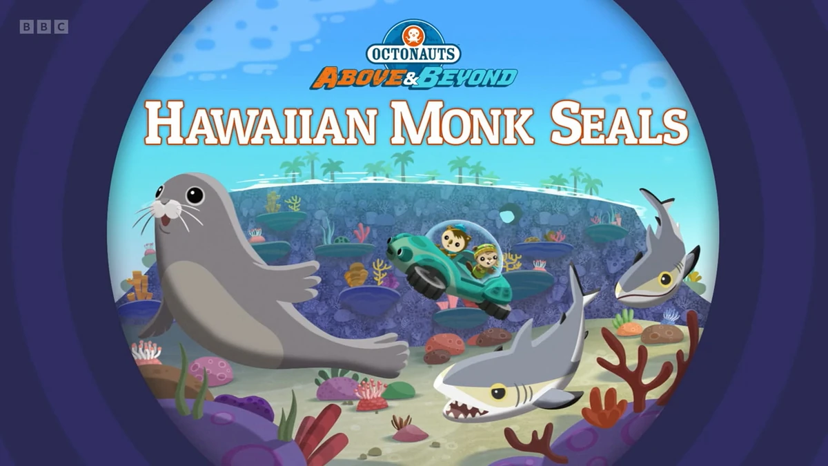 The Hawaiian Monk Seals | Octonauts Wiki | Fandom