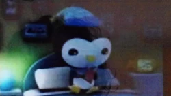 Peso Penguingallery Octonauts Wiki Fandom Powered By
