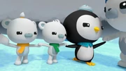 Orson and Ursa | Octonauts Wiki | Fandom