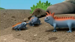 Marine Iguanas | Octonauts Wiki | Fandom