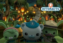 The Great Swamp Search | Octonauts Wiki | Fandom