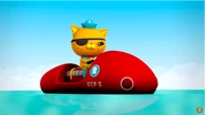 Kwazii/gallery | Octonauts Wiki | Fandom
