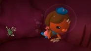 Dashi/gallery | Octonauts Wiki | Fandom