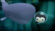Scared Simon | Octonauts Wiki | Fandom