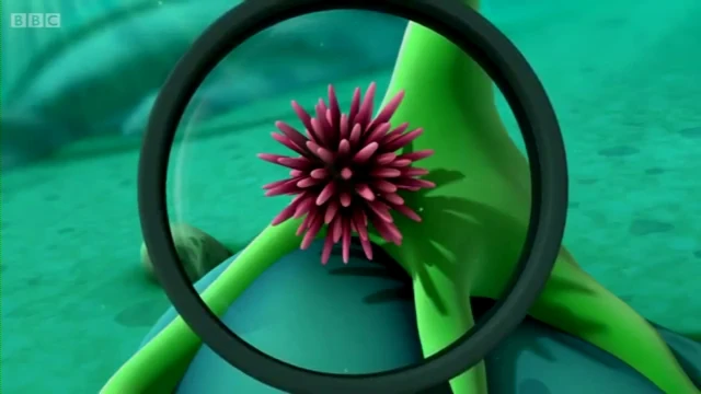 Red Urchin | Octonauts Wiki | Fandom