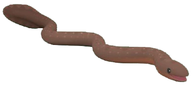 Category:Crocodiles | Octonauts Wiki | Fandom