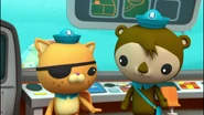 Kwazii/gallery | Octonauts Wiki | Fandom