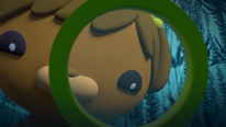 Koshi | Octonauts Wiki | Fandom