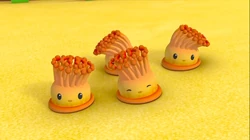 Aggregate Anemones | Octonauts Wiki | Fandom