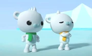 Orson and Ursa | Octonauts Wiki | Fandom