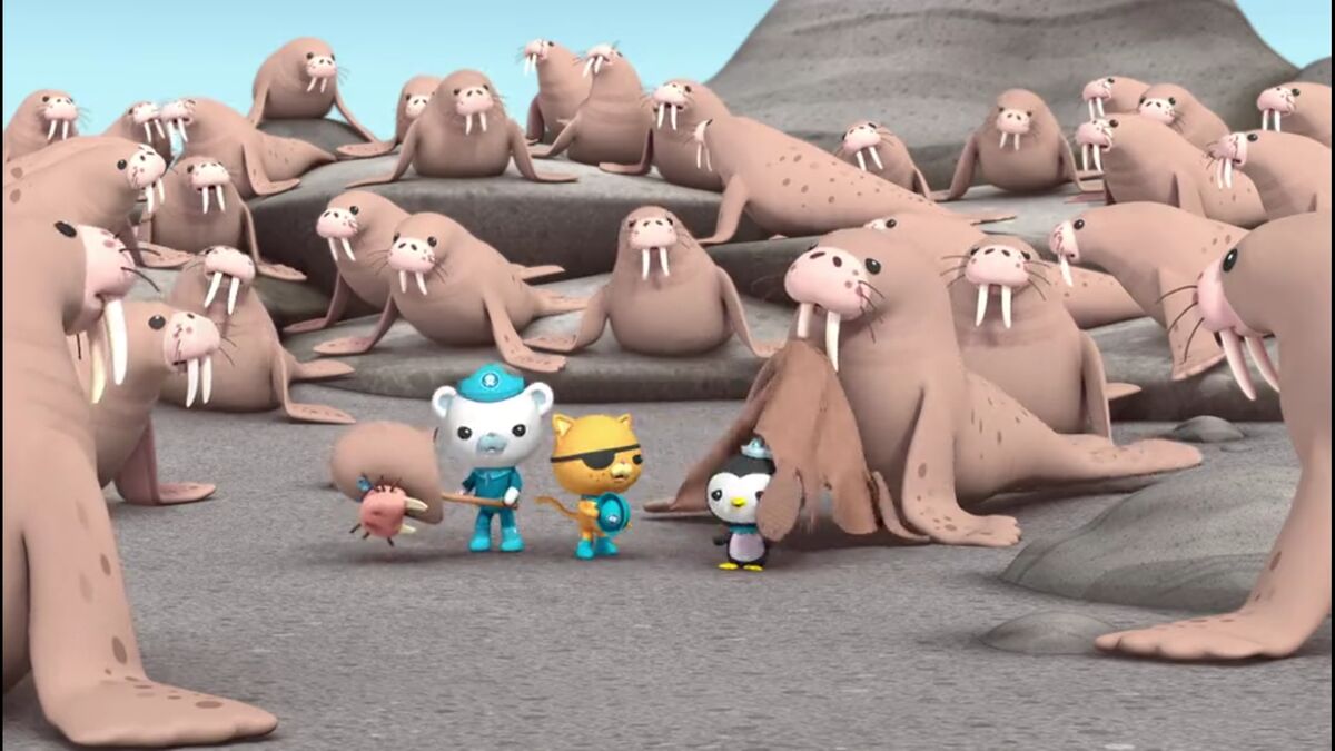 The Walrus Chiefgallery Octonauts Wiki Fandom