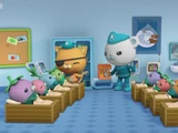 Category:Octopod's areas | Octonauts Wiki | Fandom