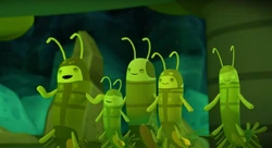 Bomber Worm | Octonauts Wiki | Fandom