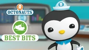 Peso/gallery | Octonauts Wiki | Fandom