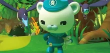 Season 5/gallery | Octonauts Wiki | Fandom