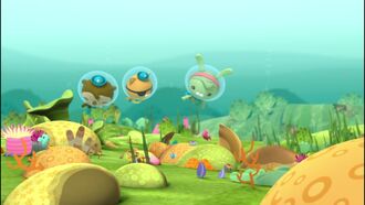 The Artificial Reef/transcript | Octonauts Wiki | Fandom