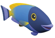 User blog:Dinosaur Pasha/Octonauts Clipart 2 | Octonauts Wiki | Fandom