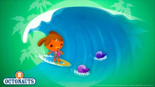 The Surfing Snails | Octonauts Wiki | Fandom