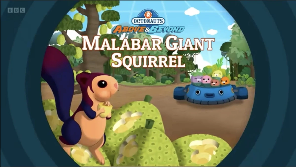 The Malabar Giant Squirrel | Octonauts Wiki | Fandom