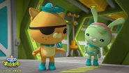 Kwazii/gallery | Octonauts Wiki | Fandom