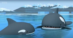 Orca | Octonauts Wiki | Fandom