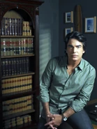 Sandy Cohen | The O.C. Wiki | Fandom