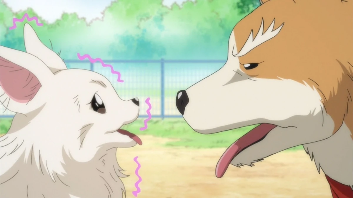 Episode 6 | Oda Shinamon Nobunaga Wiki | Fandom