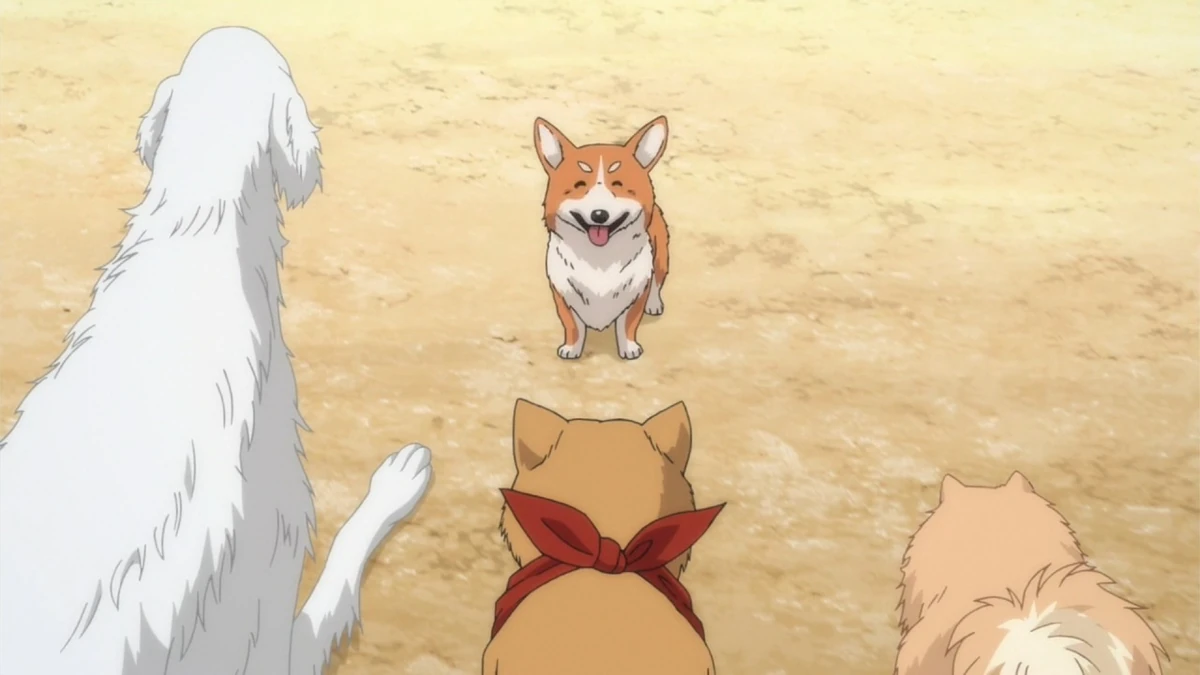 Episode 4 | Oda Shinamon Nobunaga Wiki | Fandom