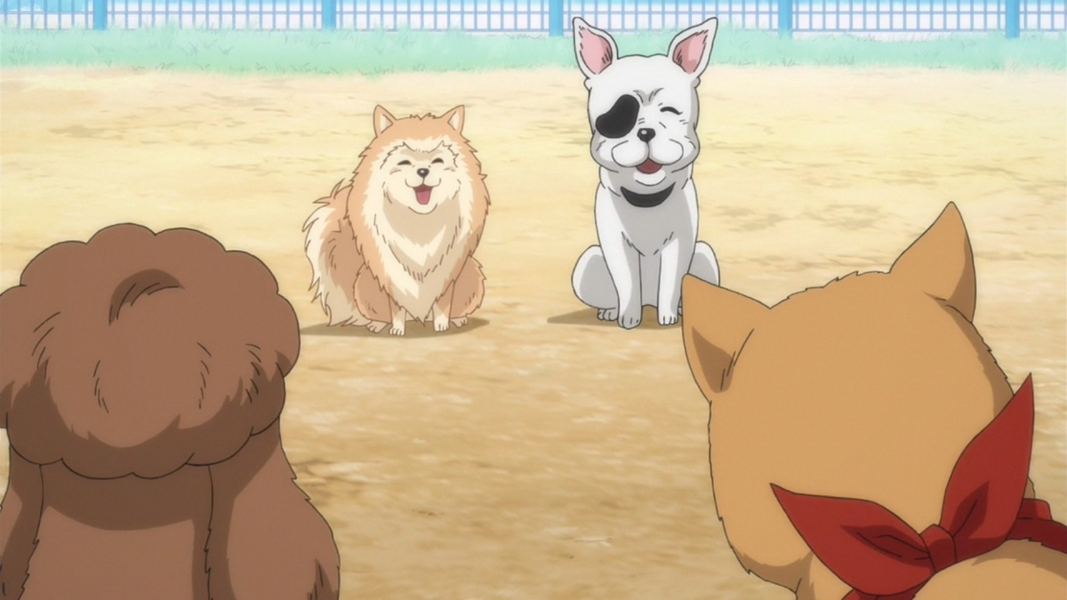 Episode 8 | Oda Shinamon Nobunaga Wiki | Fandom