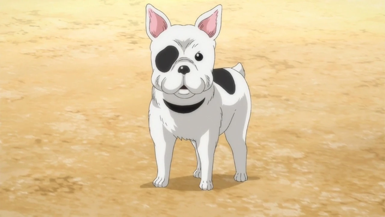 Discuss Everything About Oda Shinamon Nobunaga Wiki | Fandom