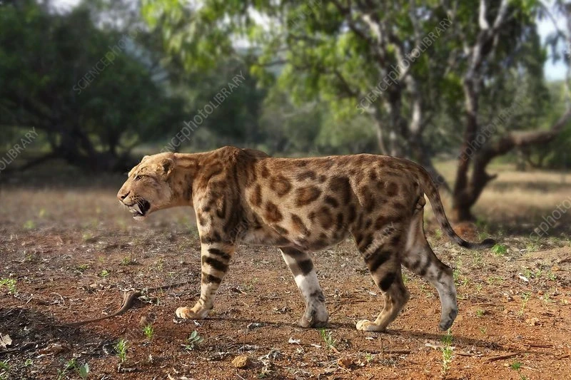 Machairodus | Odd Squad Animal Movie Wiki | Fandom