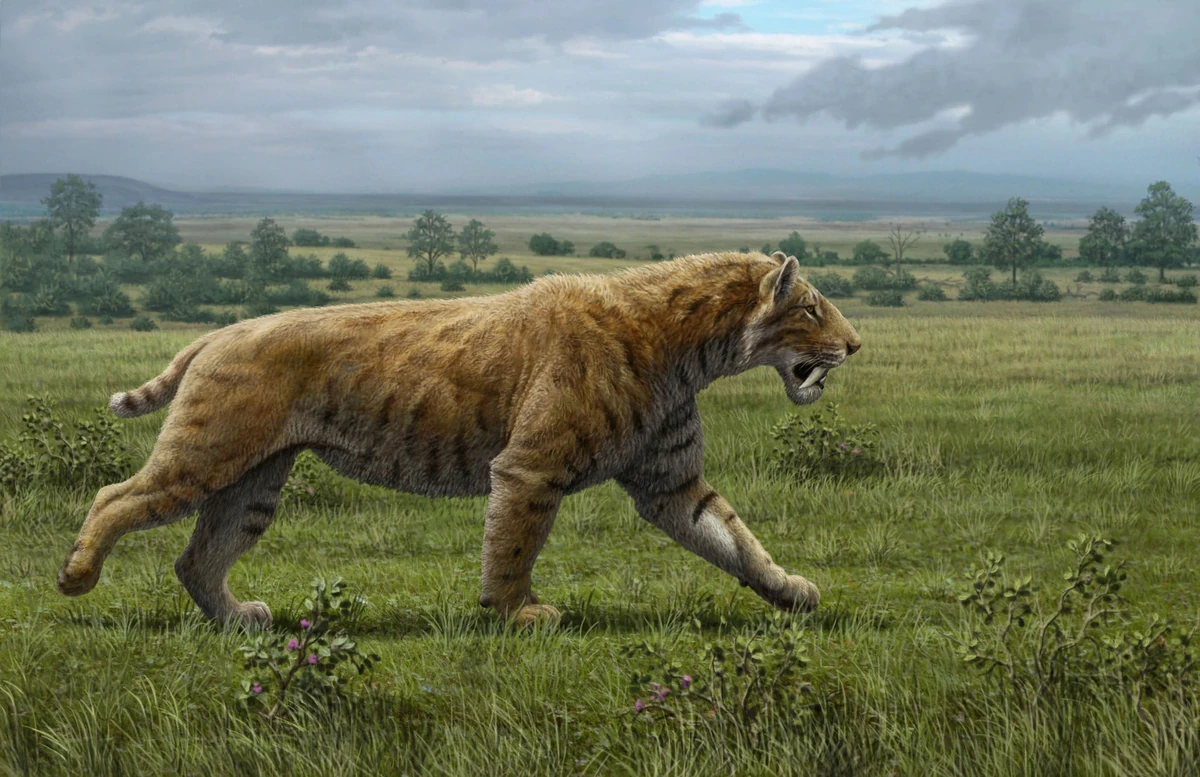 Smilodon | Odd Squad Animal Movie Wiki | Fandom