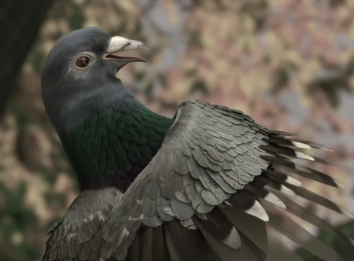Alan the Pigeon | Odd Squad Wiki | Fandom