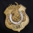 The Agent Badge | Odd Squad Wiki | Fandom