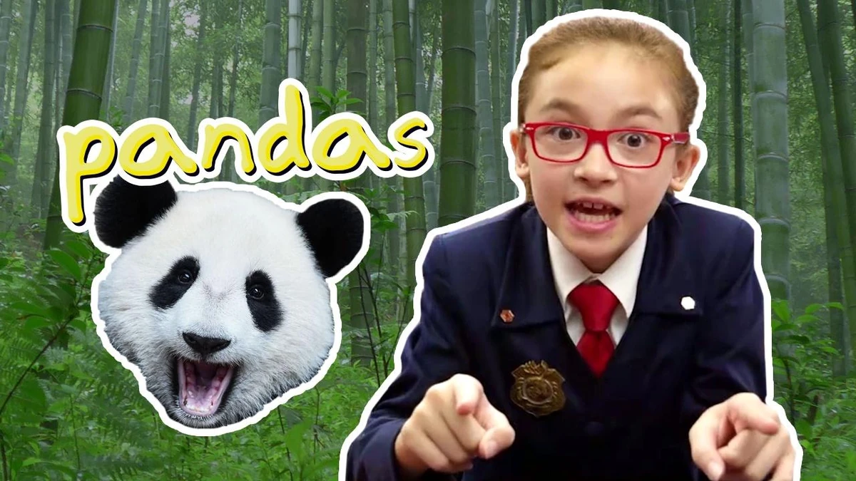 Pandas | Odd Squad Wiki | Fandom