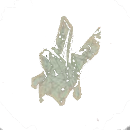 Haggut Moss | Oddworld Wiki | Fandom