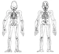 Mudokon | Oddworld Wiki | Fandom