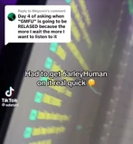 XIII SORROWS | Taripedia | Fandom