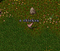 Chicken 雞 | UO Odyssey 维基 | Fandom