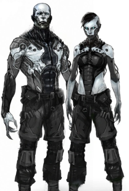 Apkallu | Odyssey (RP) Wiki | Fandom