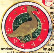 Ercinee | Offbeat Folklore Wiki | Fandom