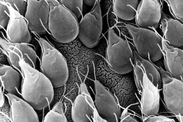 Water Filtration & Purification | Off-Grid & Preparedness Wiki | Fandom